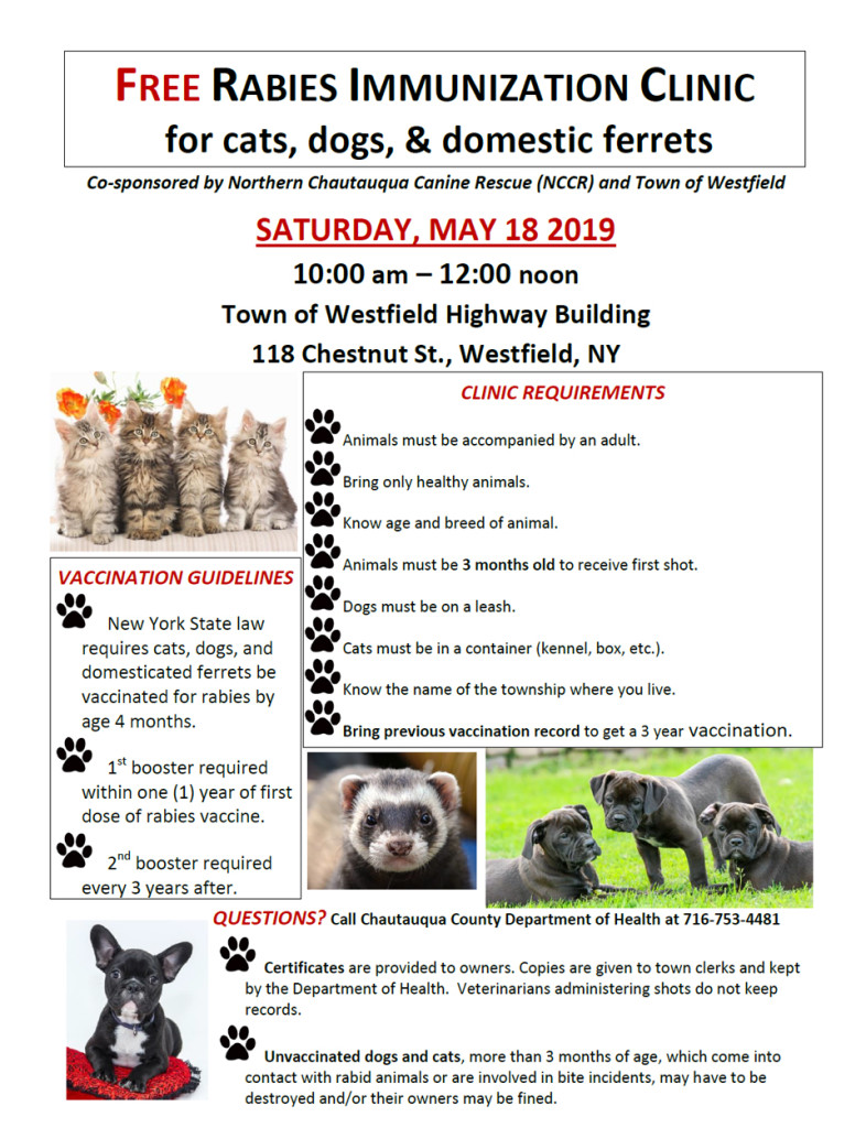 Rabies poster 2019 – Northern Chautauqua Canine Rescue
